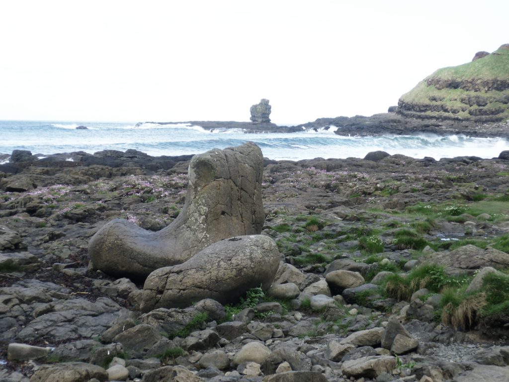 The Giant’s Causeway – Elizabeth Hawksley