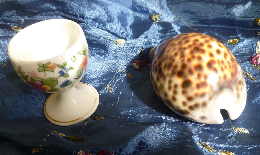 The Beauty of Sea Shells – Elizabeth Hawksley