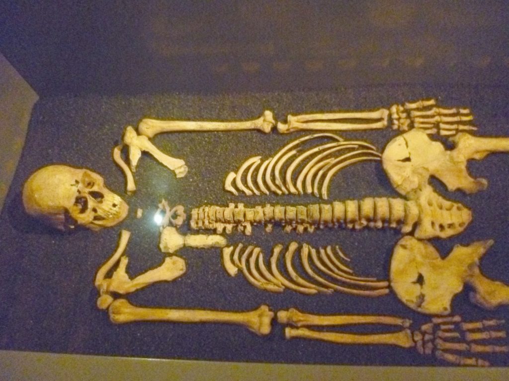 The Charterhouse, London: a Building full of History – Elizabeth Hawksley